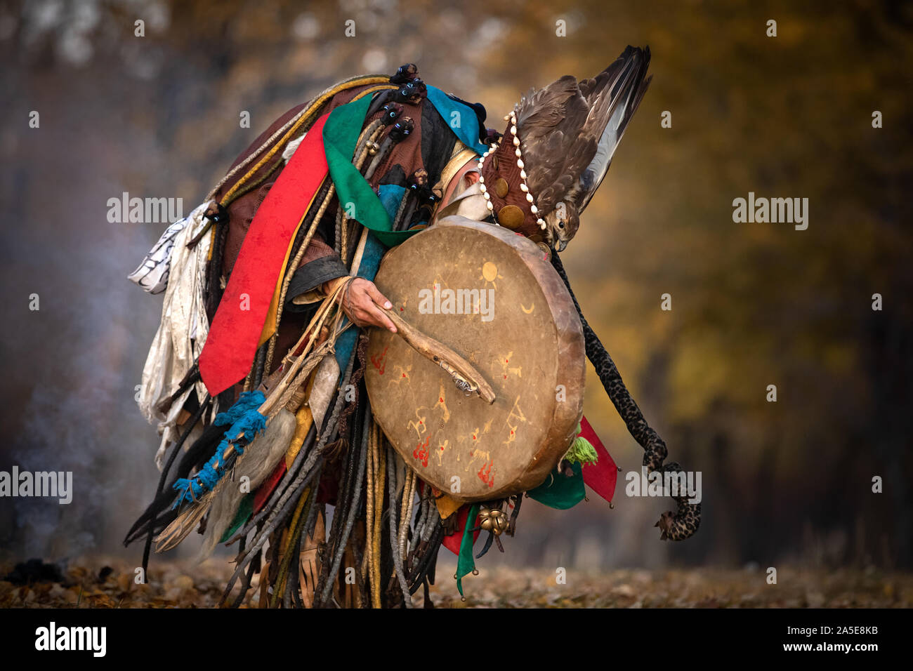 Mongolian traditional shaman performing a traditional shamanistic ...