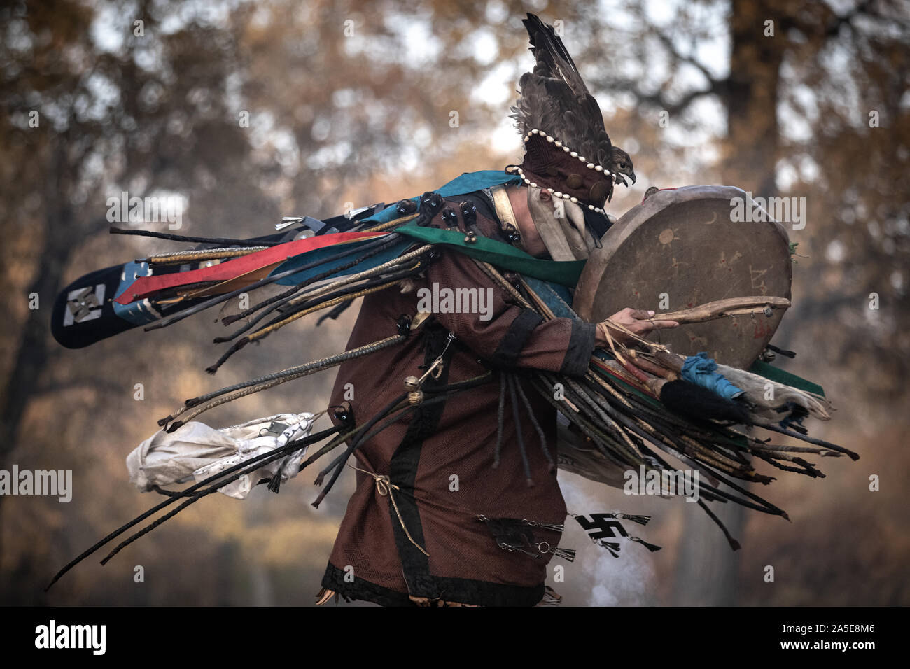 Mongolian traditional shaman performing a traditional shamanistic ...
