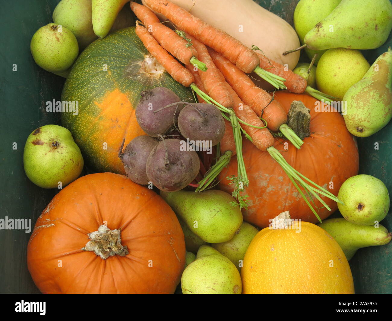 Colourful medley of autumn fruit and veg for a Harvest Festival ...