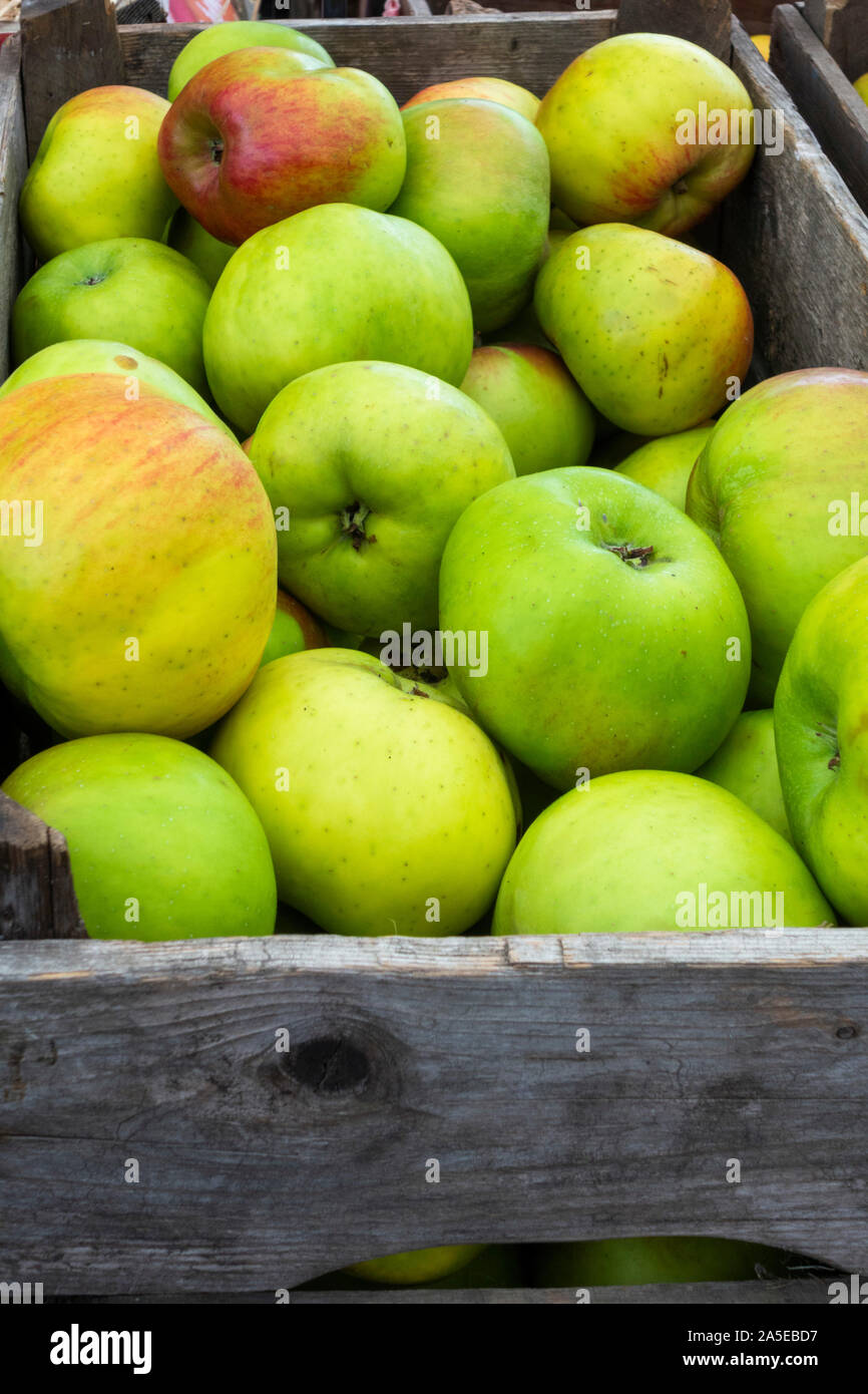 British bramley cooking applies hi-res stock photography and images - Alamy
