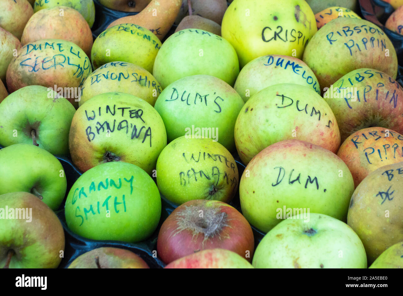 Types of apples hi-res stock photography and images - Alamy