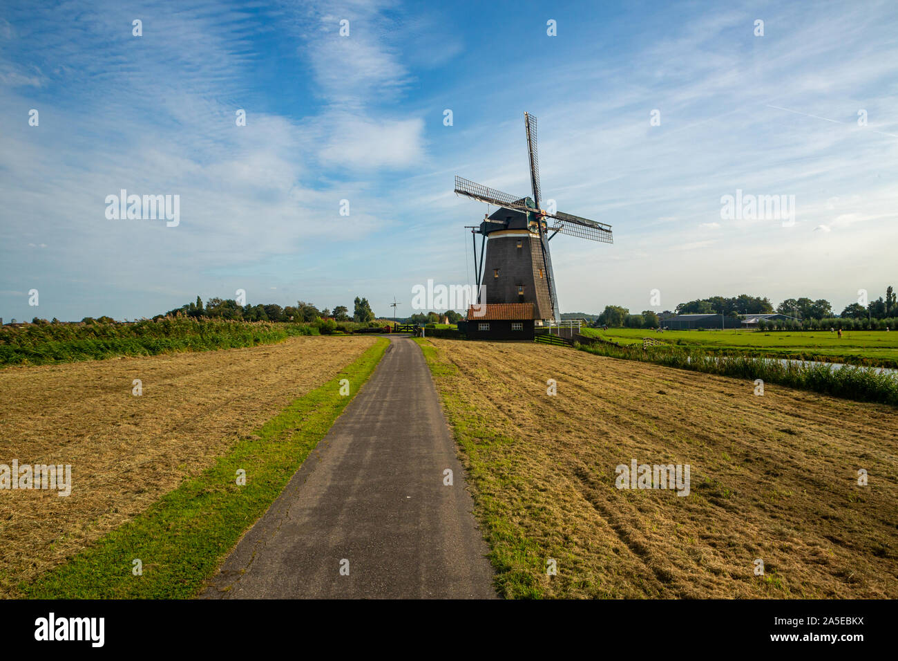 european dutch old windmill landscape with blue sky above Stock Photo ...