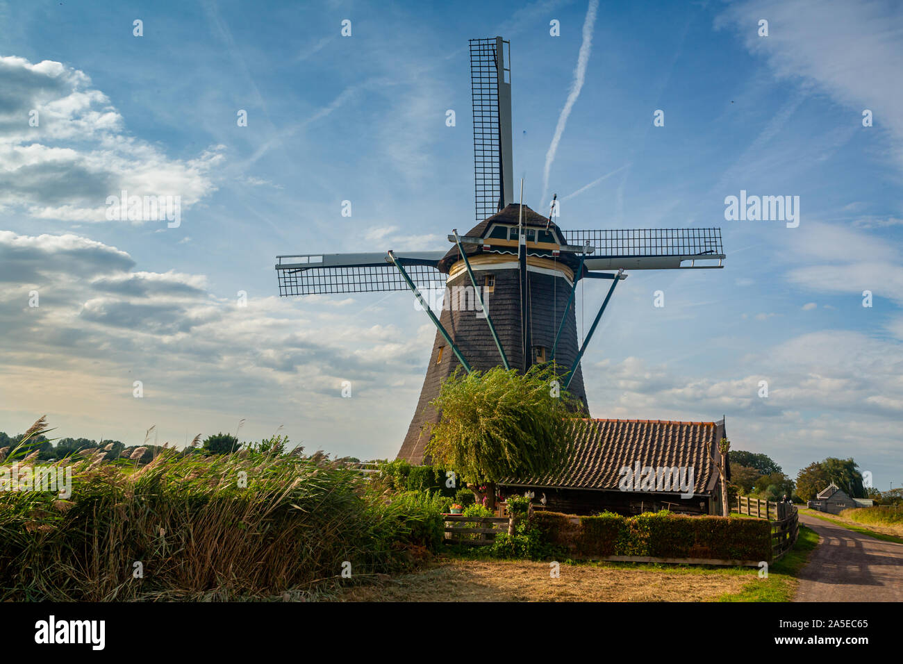 european dutch old windmill landscape with blue sky above Stock Photo ...