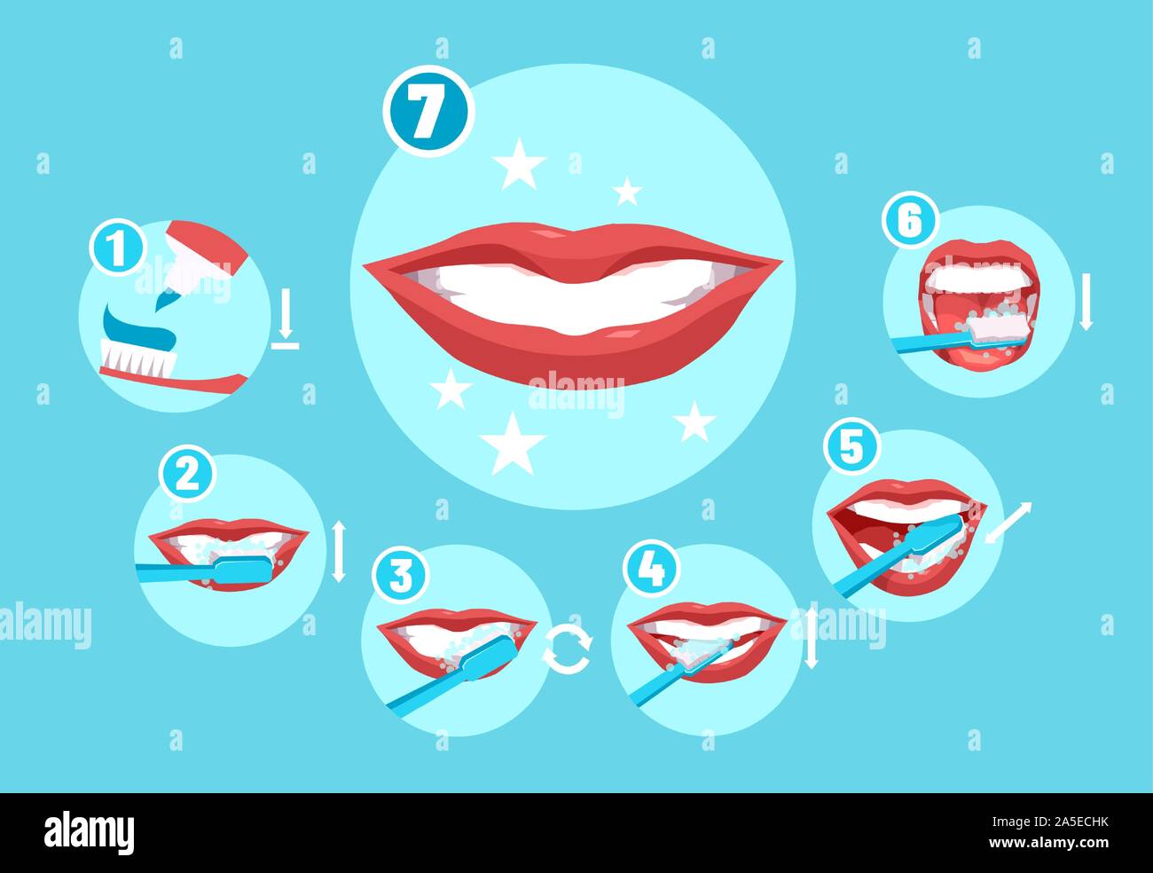 Vector infographic of how to brush your teeth instruction. Healthy ...