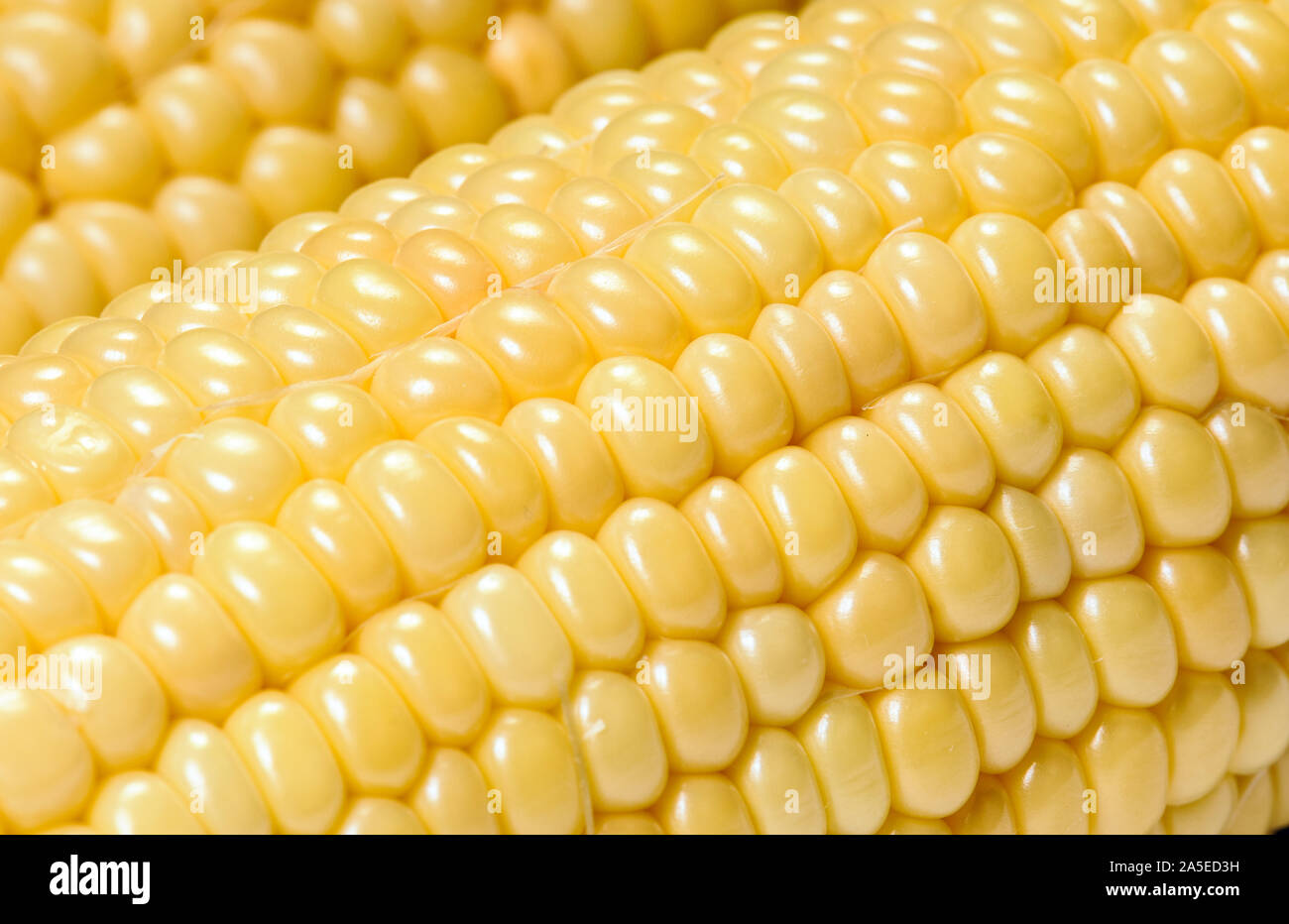 Green corn leaf texture hi-res stock photography and images - Alamy