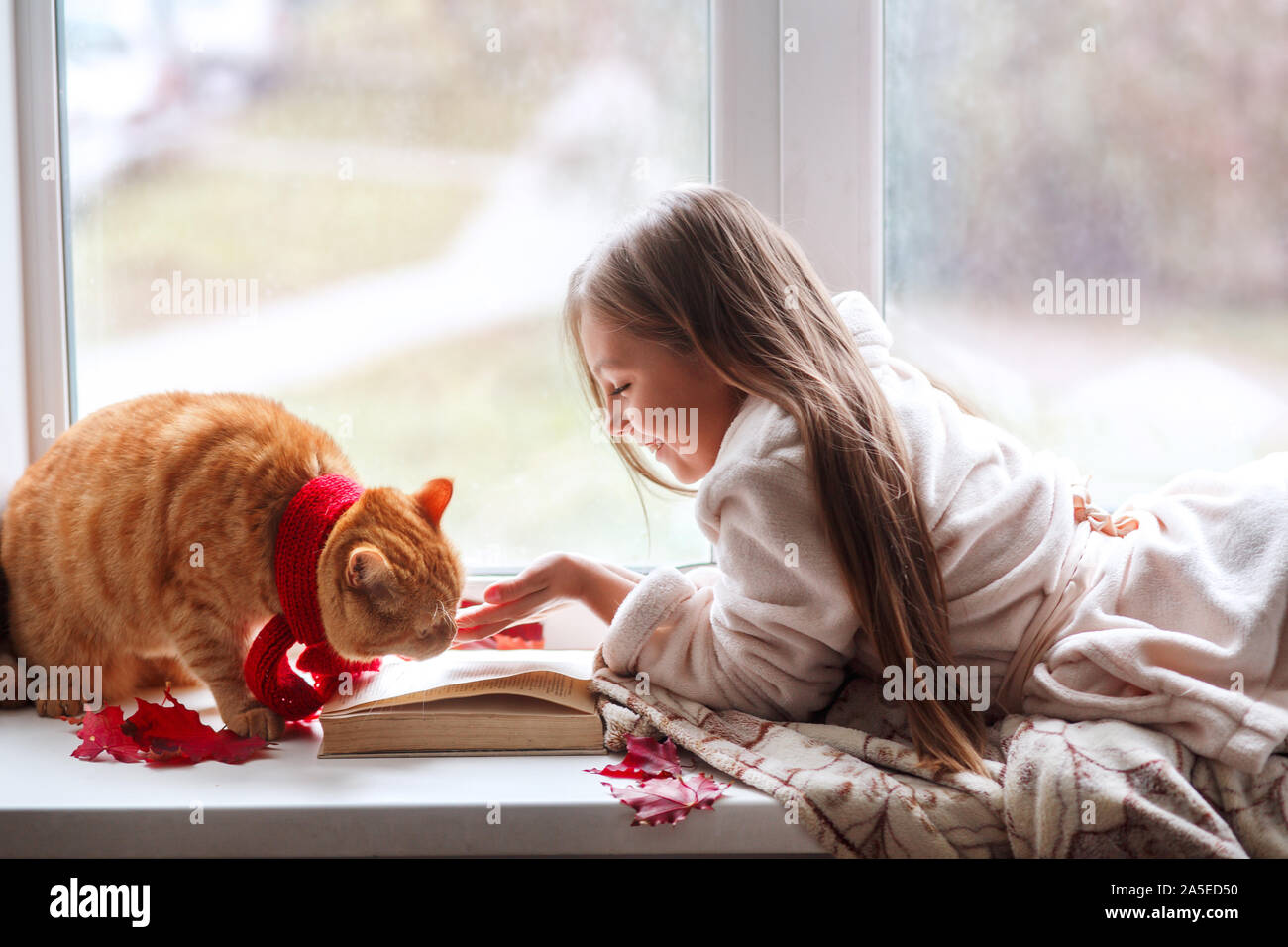Little girl with red cat lying on window sill , reading a book and ...