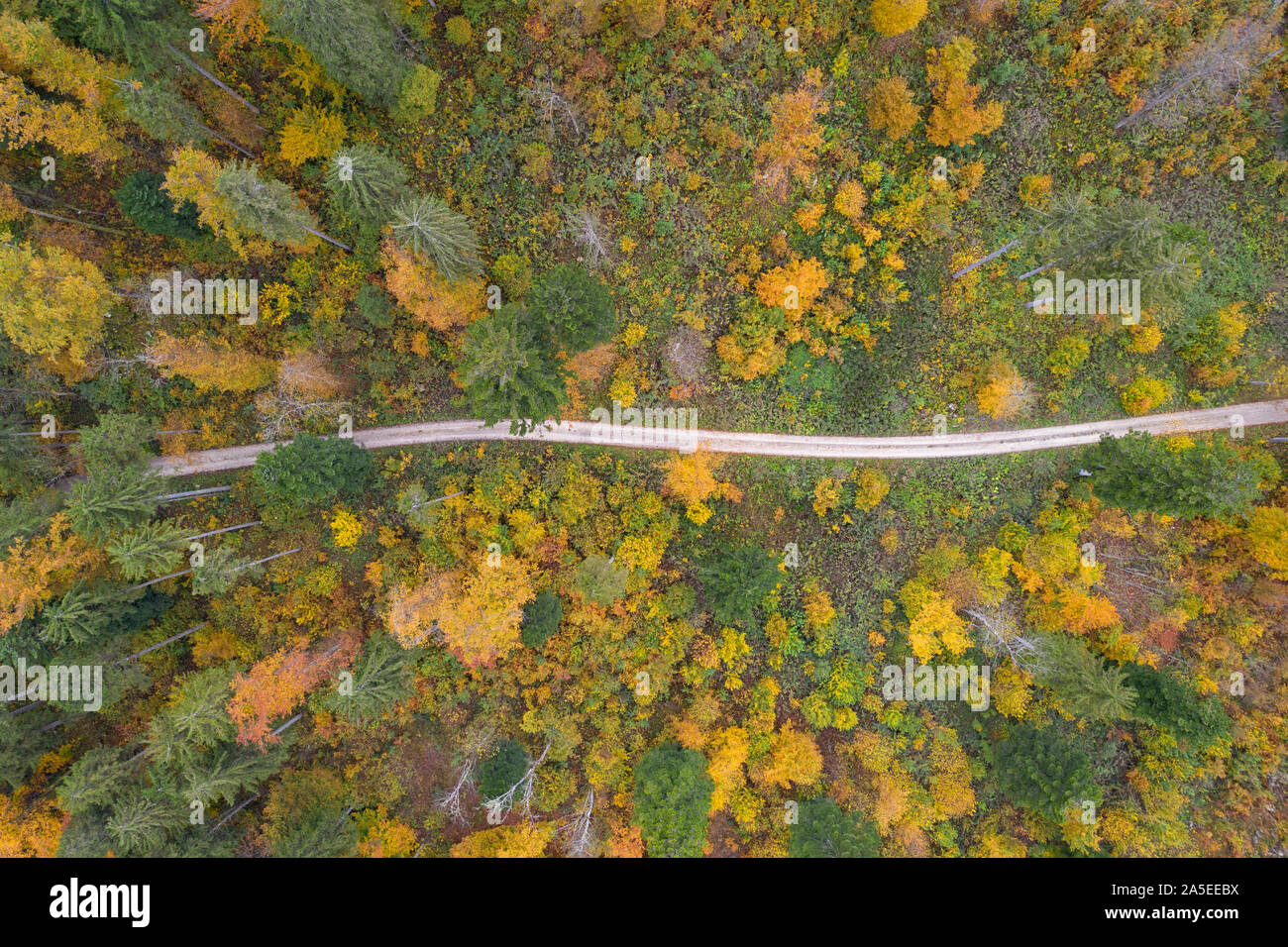 Aerial top view hairpin bend hi-res stock photography and images - Alamy