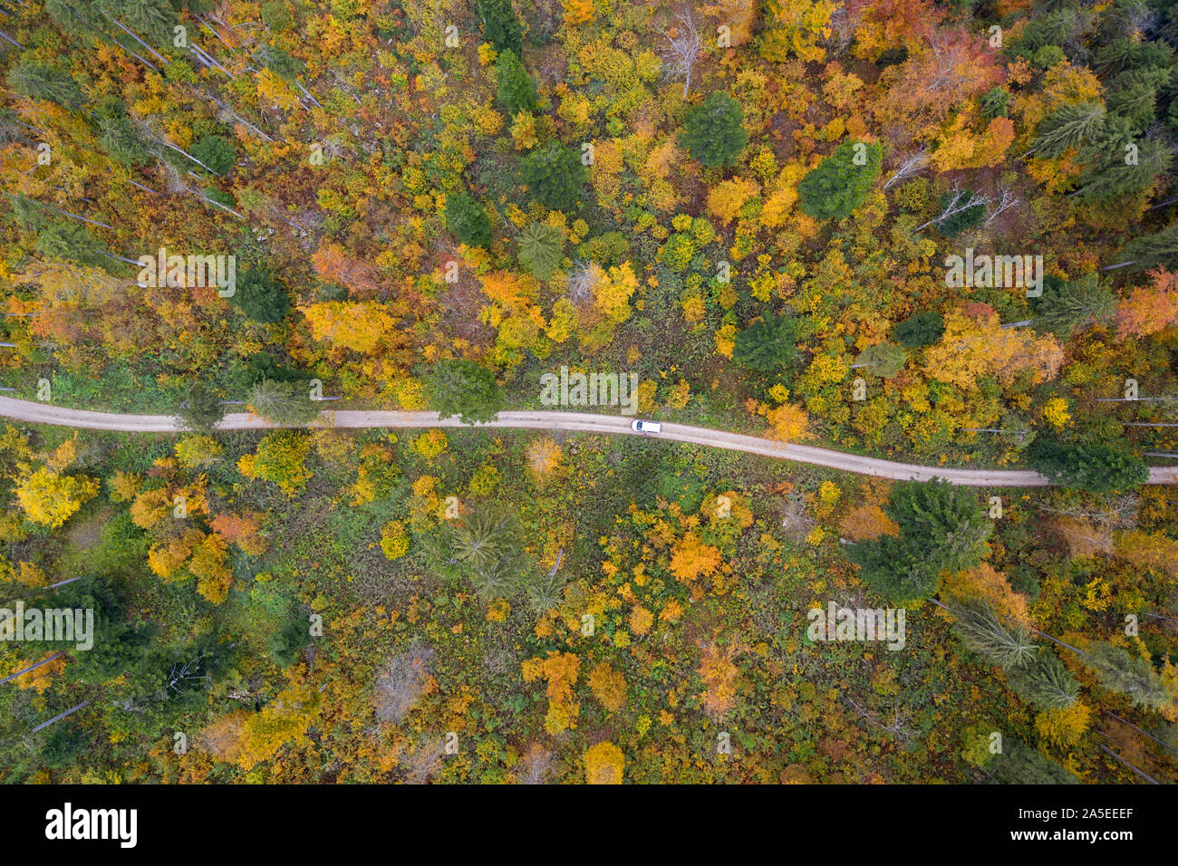 Aerial forward flight over forest hi-res stock photography and images ...