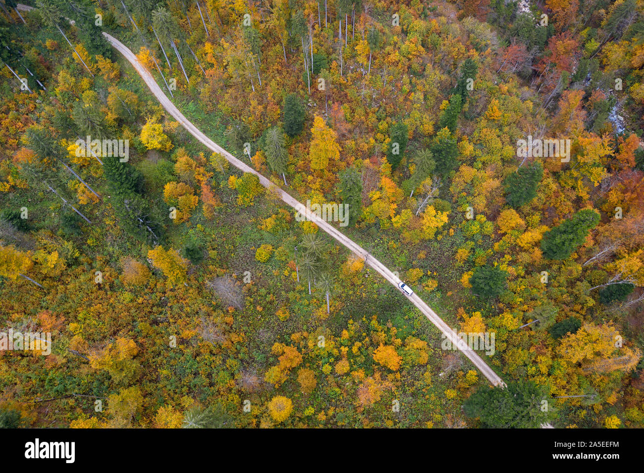 Drone forward top down view hi-res stock photography and images - Alamy