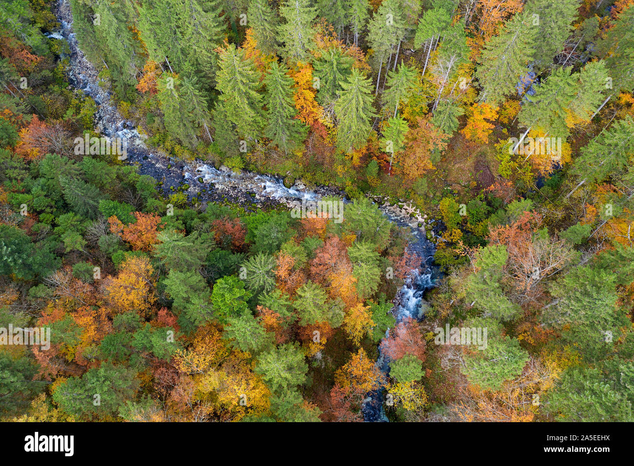 Aerial forward flight over forest hi-res stock photography and images ...