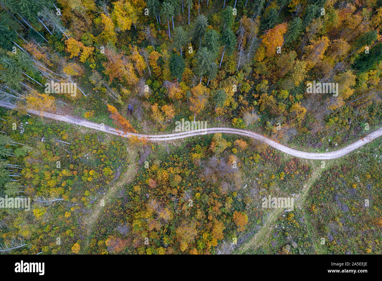 Hairpin bend slovenia hi-res stock photography and images - Alamy