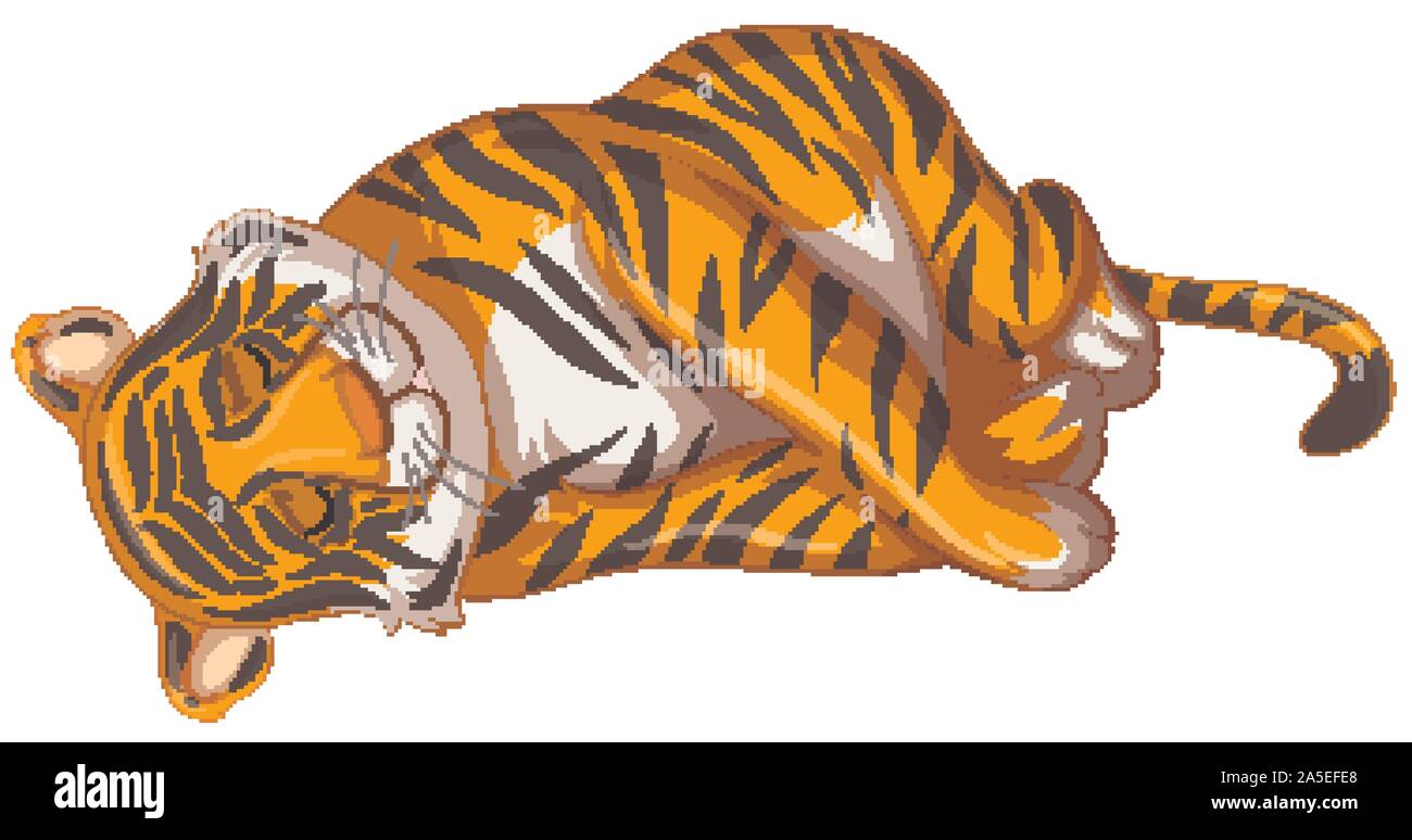 Tiger sleeping on white background illustration Stock Vector Image ...