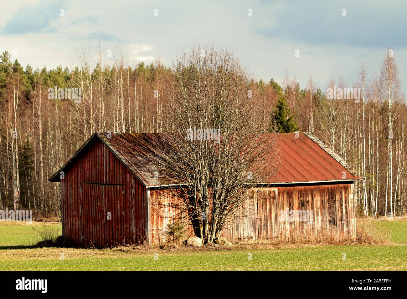 An old barn in the middle of a springlike field Stock Photo - Alamy