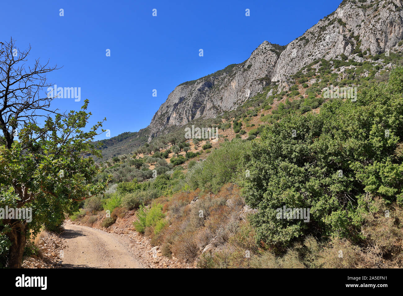 Cave of Pythagoras in the hills above Marathokambos on the Greek island ...