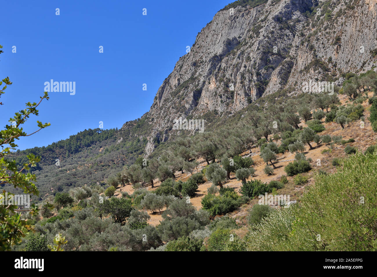 Pythagoras cave hi-res stock photography and images - Alamy