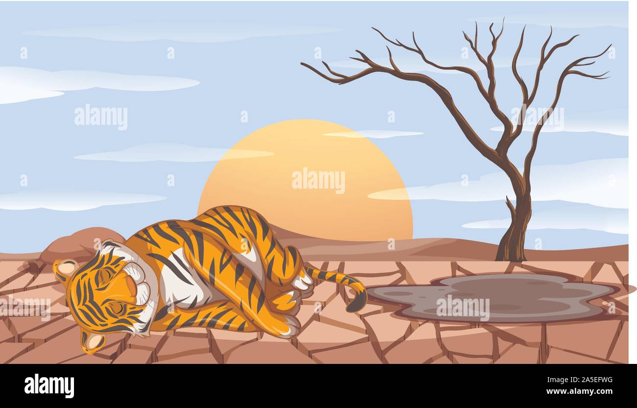 Deforestation scene with tiger dying from drought illustration Stock ...
