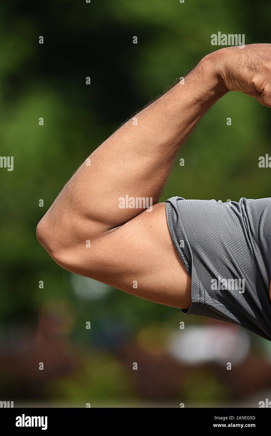 Man flexing biceps arm hi-res stock photography and images - Alamy