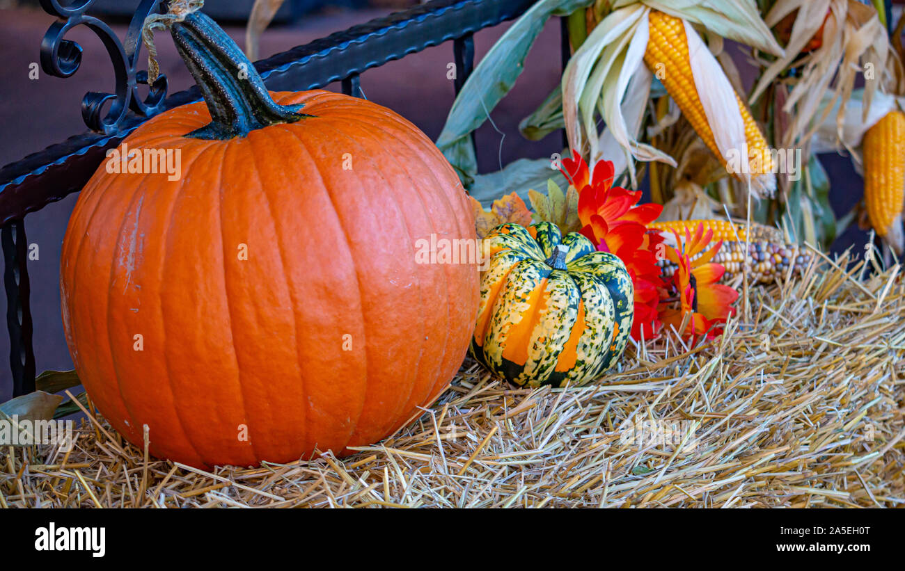 A display of harvest vegetables: pumpkin, gourd, corn Stock Photo - Alamy