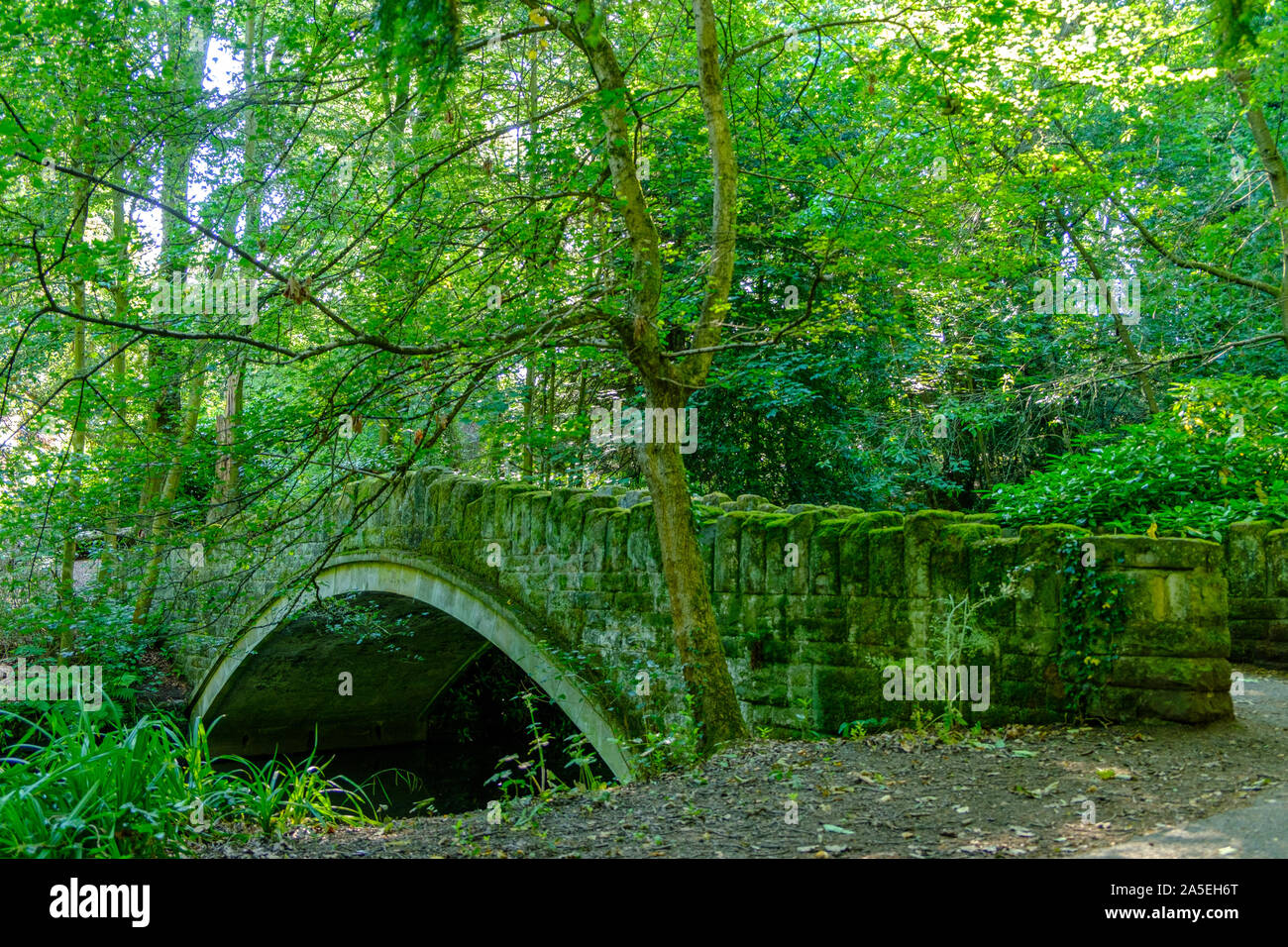 Romantic scene of an old stone bridge and water stream in Jesmond Dene ...