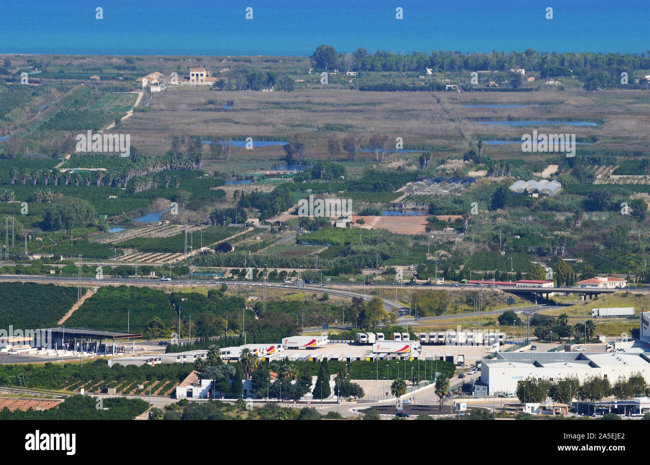 Valencia toothcarp hi-res stock photography and images - Alamy