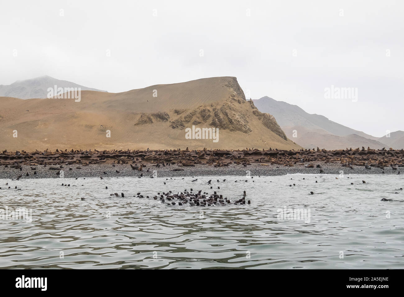 Perù, Paracas, Natural reserve, Ballestas island Stock Photo - Alamy