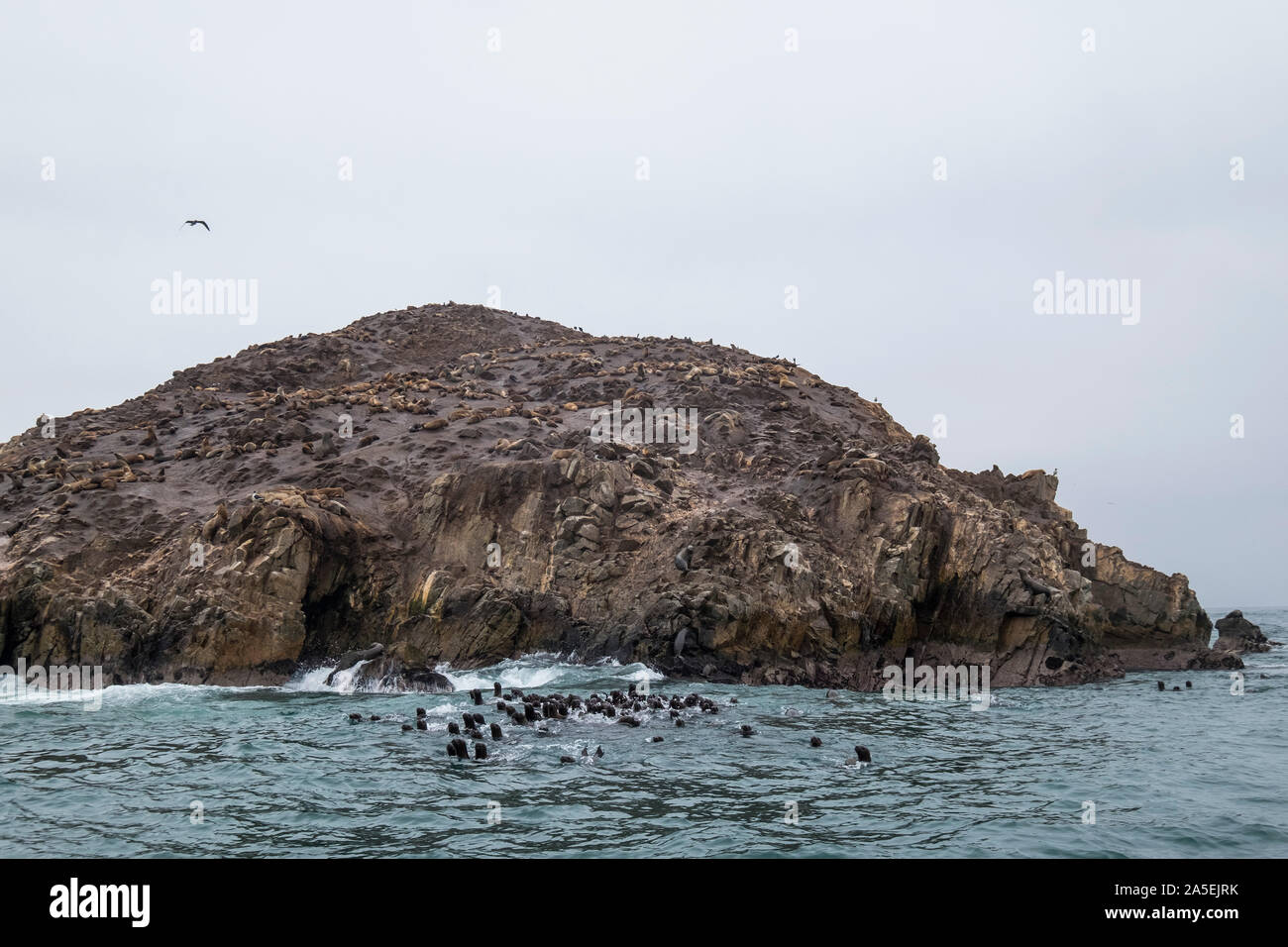 Perù, Paracas, Natural reserve, Ballestas island Stock Photo - Alamy