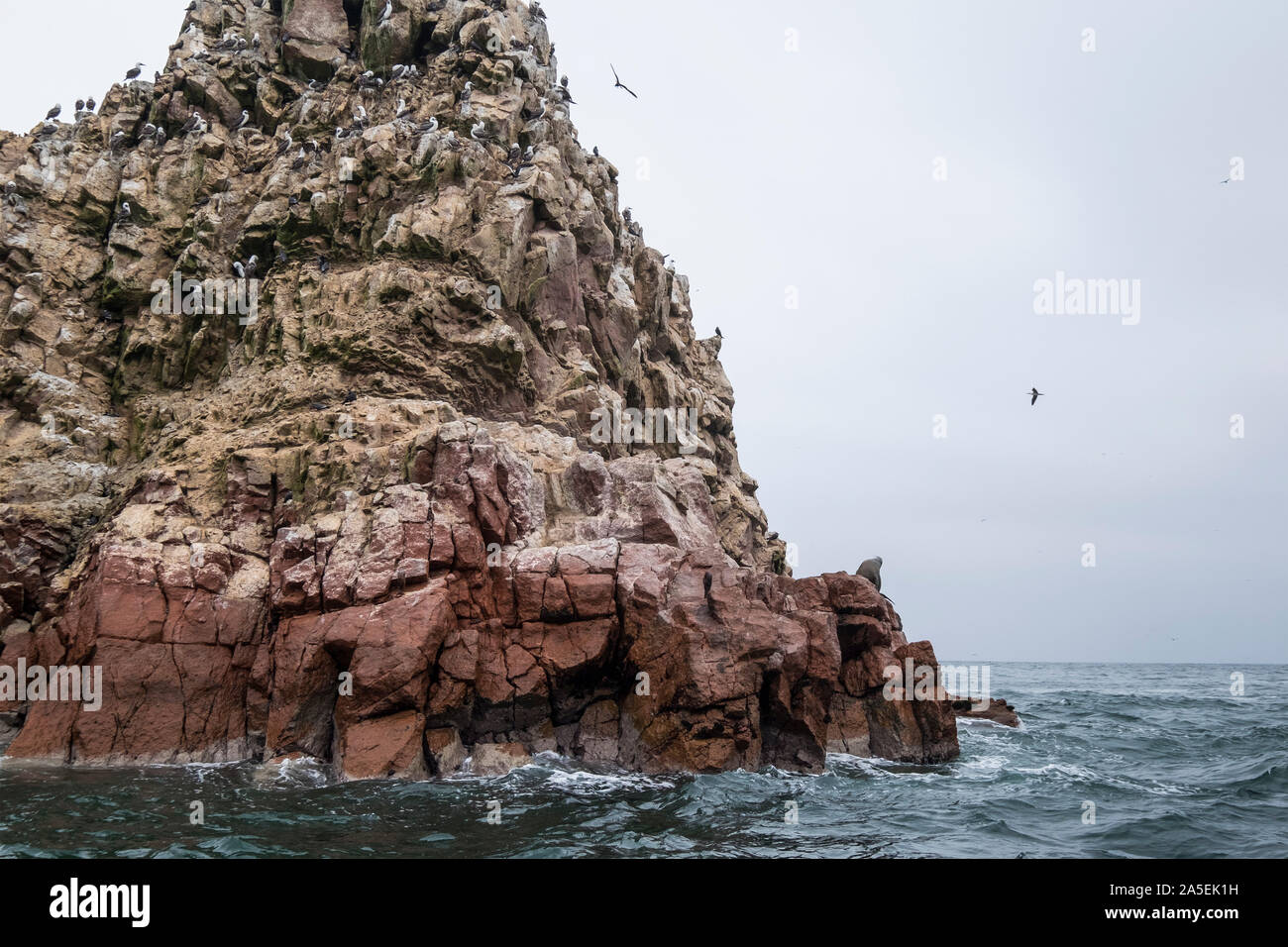 Perù, Paracas, Natural reserve, Ballestas island Stock Photo - Alamy