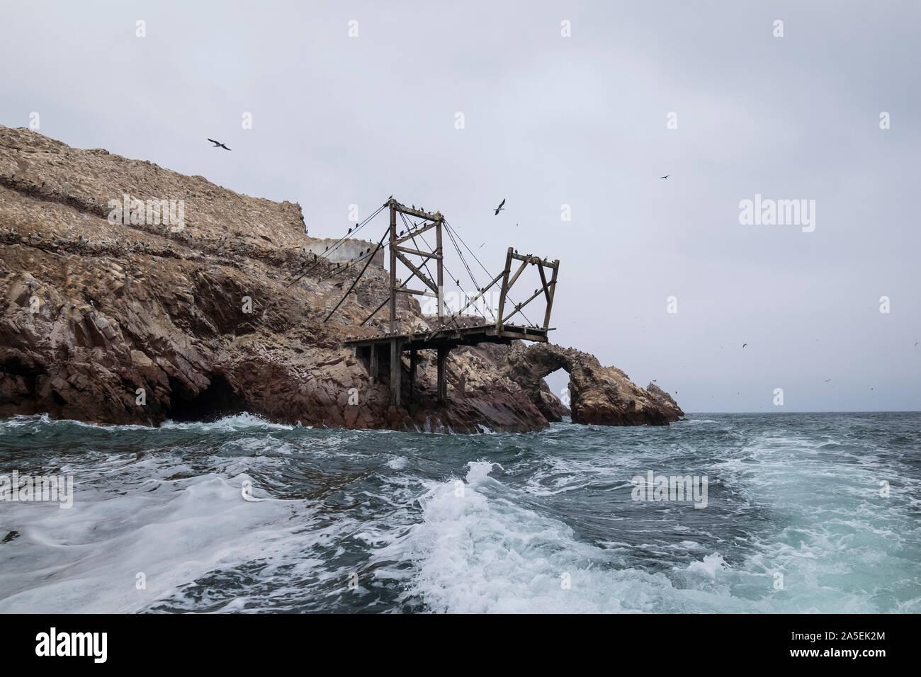 Perù, Paracas, Natural reserve, Ballestas island Stock Photo - Alamy