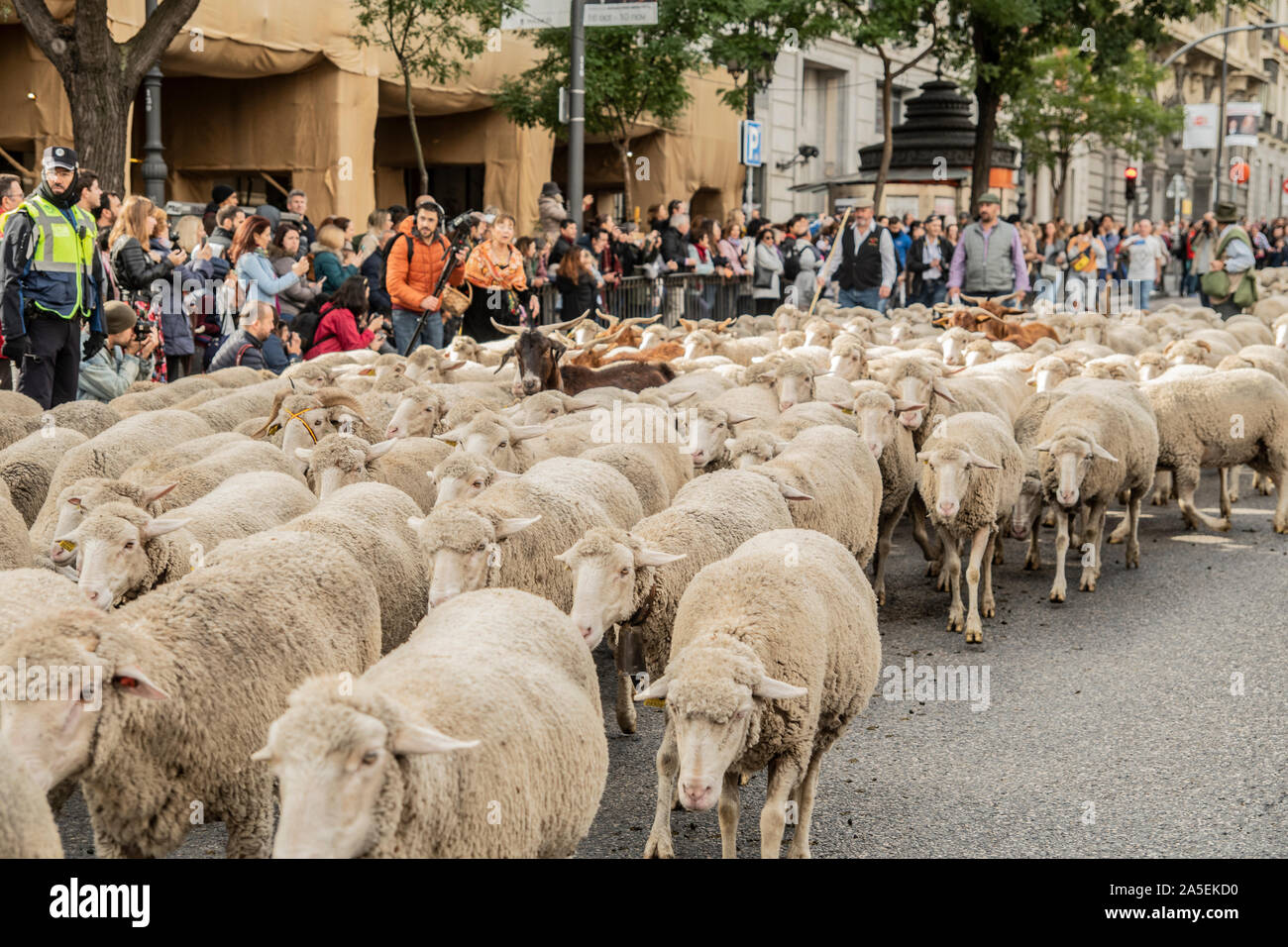 Pure pastoral nomadism hi-res stock photography and images - Alamy