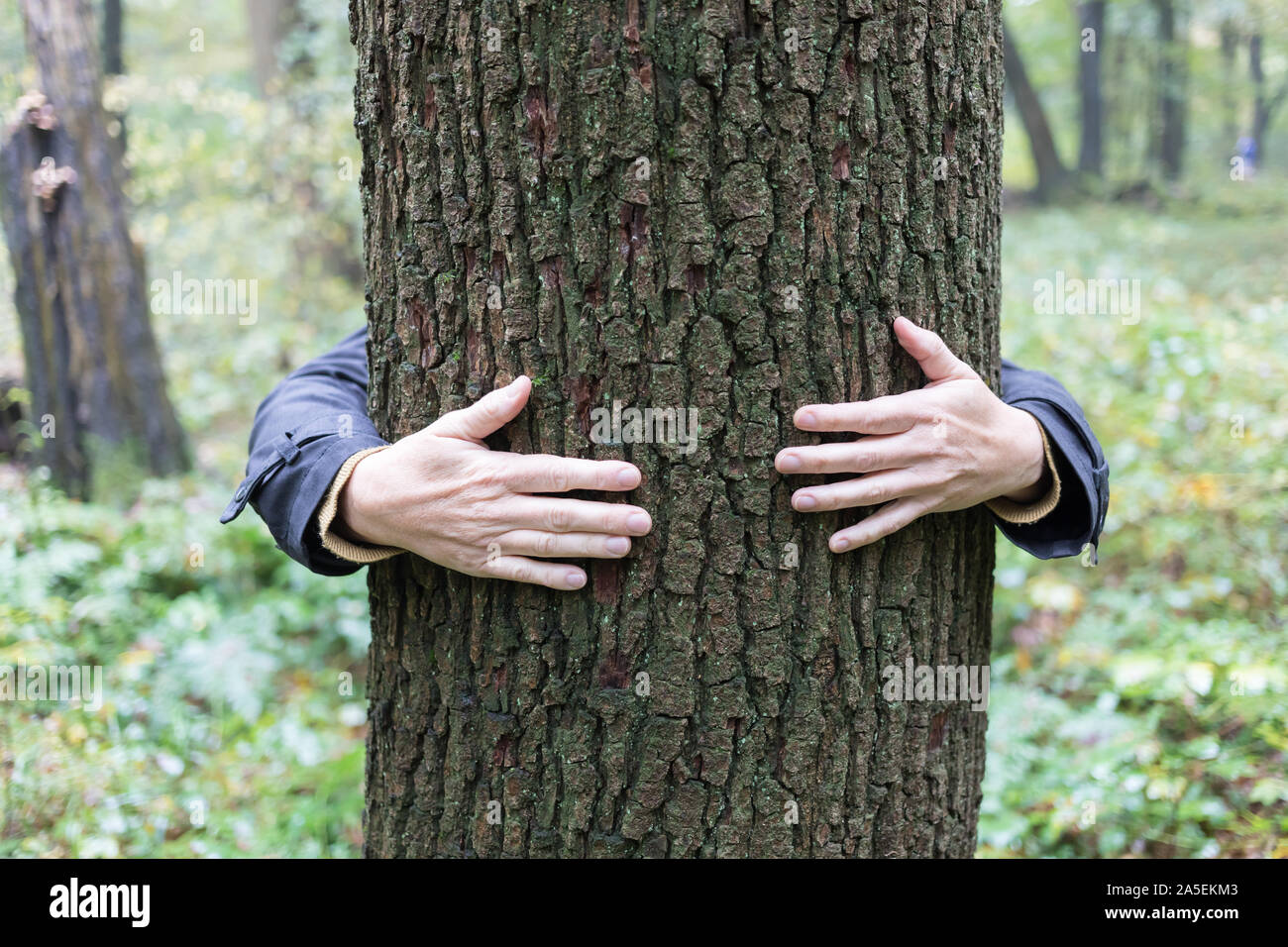 woman wraps her arm around a tree Stock Photo - Alamy