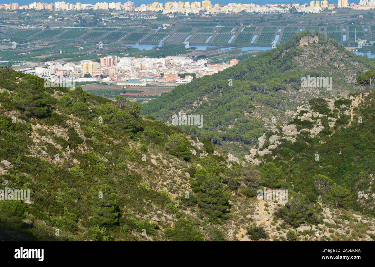 Valencia toothcarp hi-res stock photography and images - Alamy