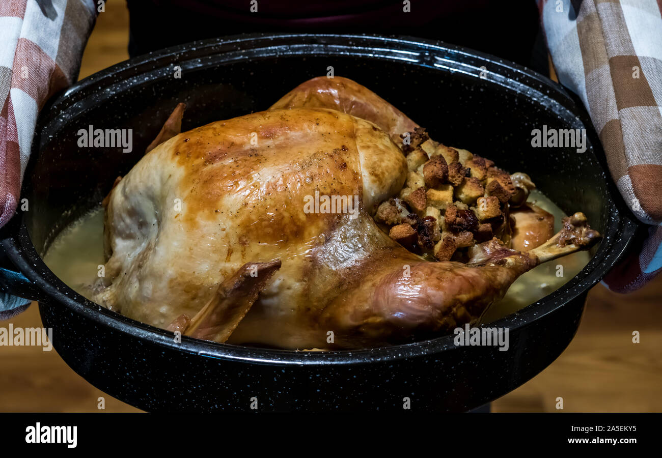 Whole roasted turkey Stock Photo - Alamy