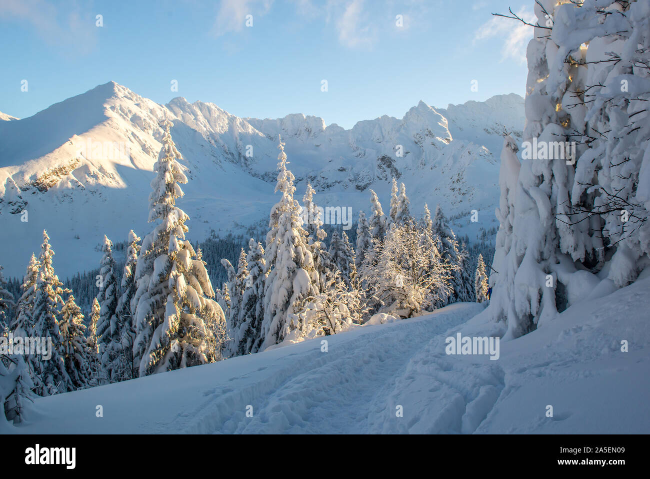Tatra Mountains - Poland Stock Photo - Alamy