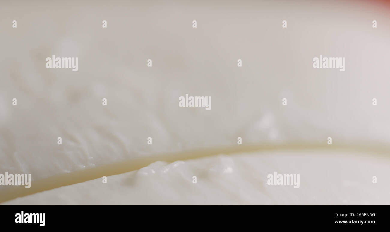 Extreme closeup cutting fresh mozzarella cheese, wide photo Stock Photo ...