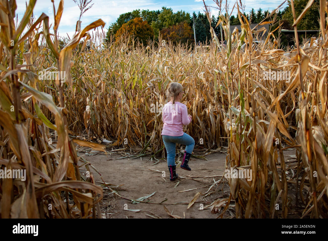 Child corn maze hi-res stock photography and images - Alamy