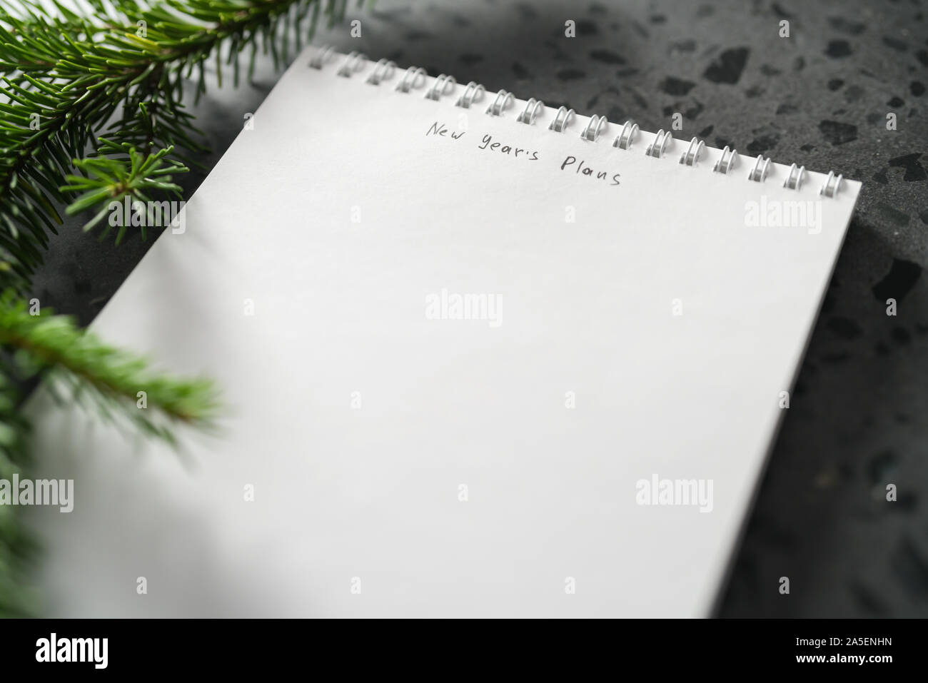 notepad with new years plans phrase with spruce twig, holiday ...