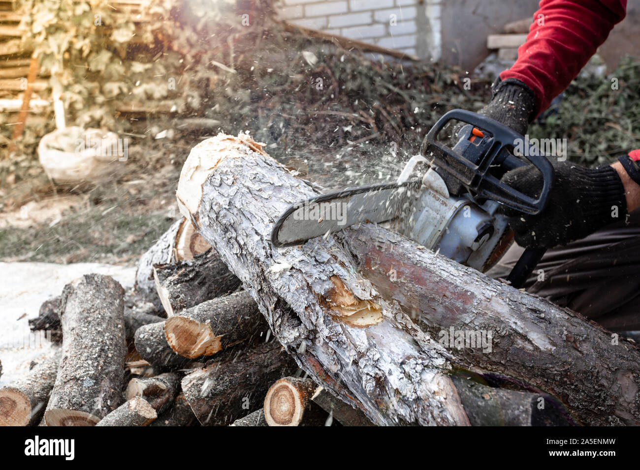 Man cuts pine log hi-res stock photography and images - Alamy
