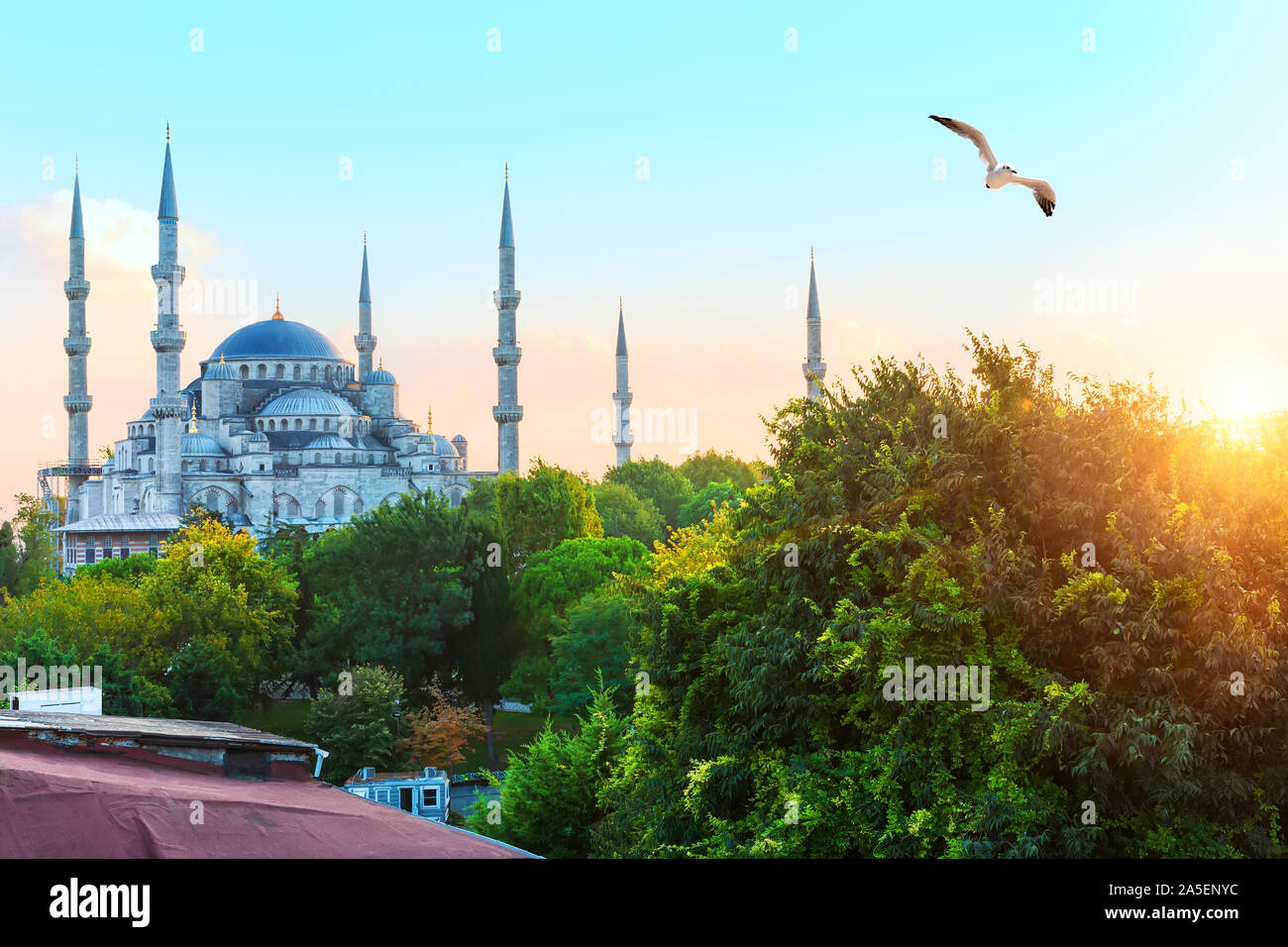 Mosque building side view hi-res stock photography and images - Alamy