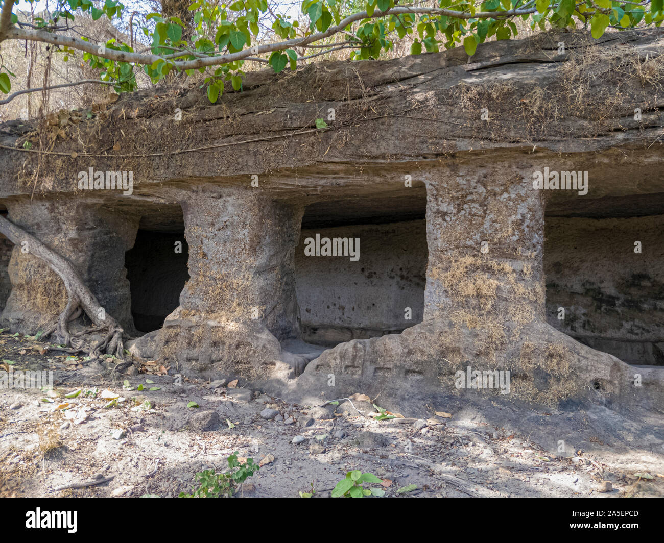 Ancient Caves at Bandhavgarh National Park,Madhya Pradesh,India Stock ...