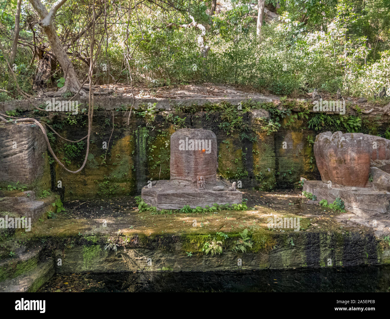 Giant Shiva Linga in Bandhavgarh National Park,Madhya Pradesh,India ...
