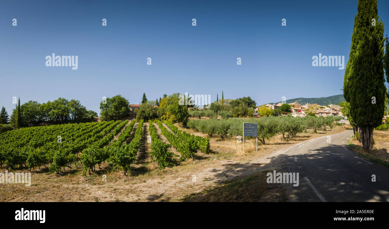 Ventoux wine region hi-res stock photography and images - Alamy