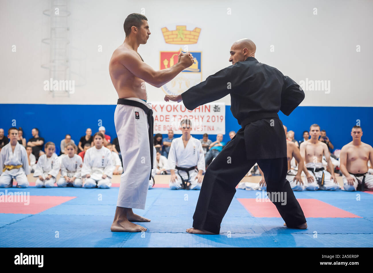 Kyokushin dojo hi-res stock photography and images - Alamy