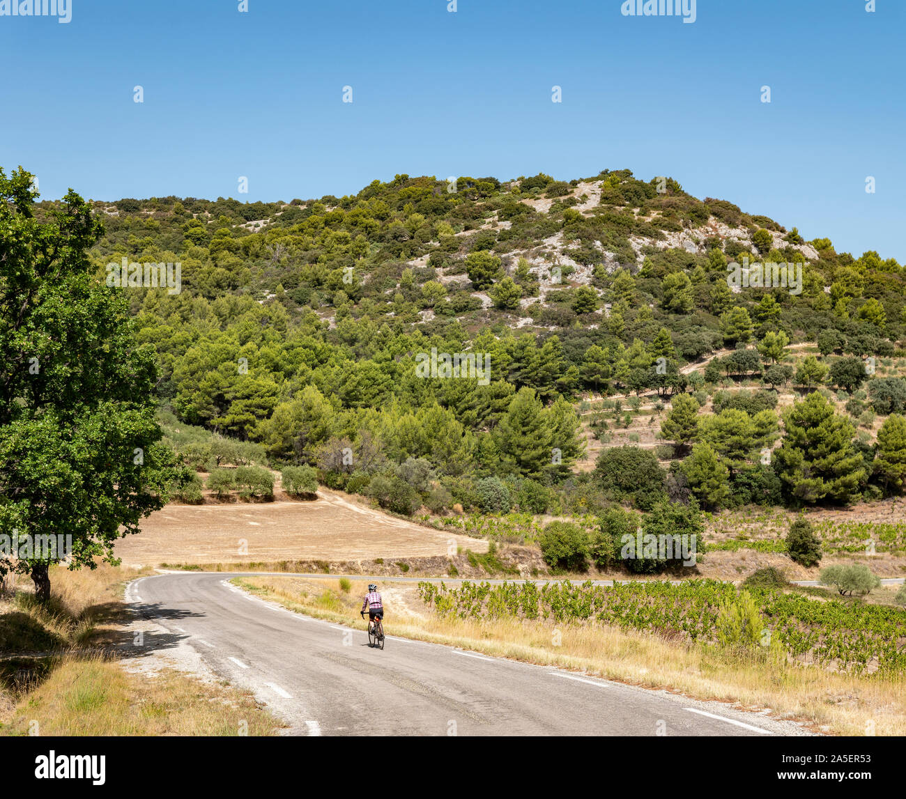 Summer vacation in provence hi-res stock photography and images - Alamy