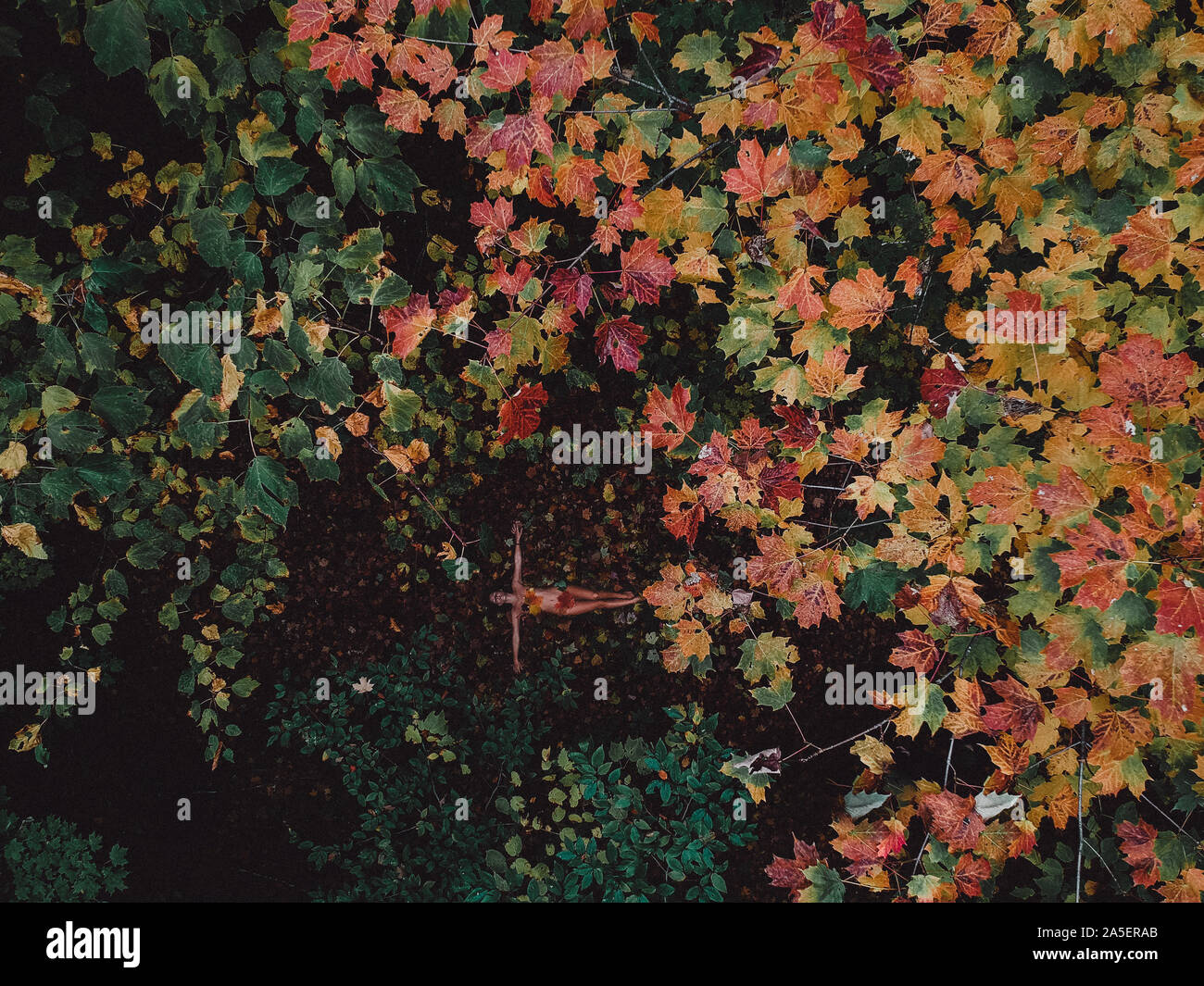 Fall in Quebec Stock Photo - Alamy