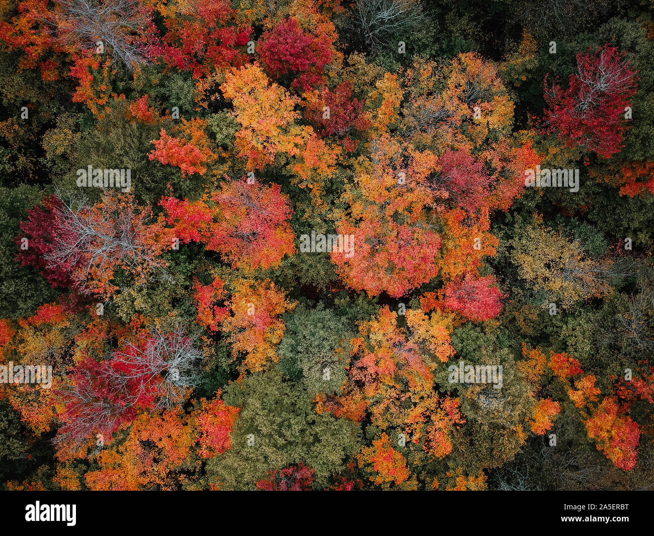 Fall in Quebec Stock Photo - Alamy