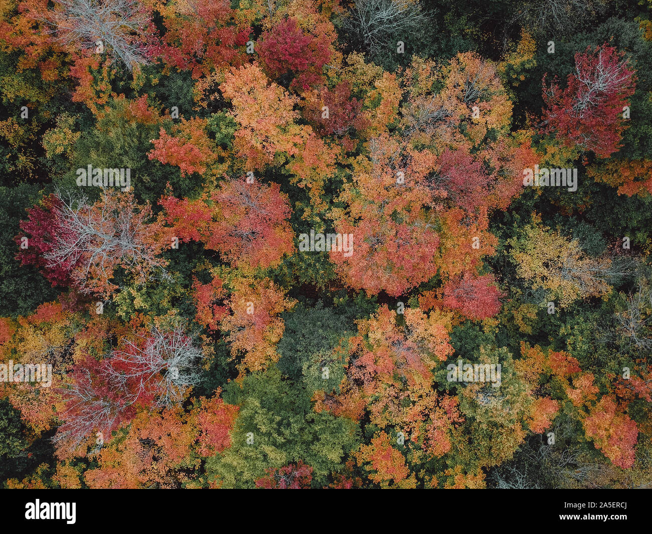Fall in Quebec Stock Photo - Alamy