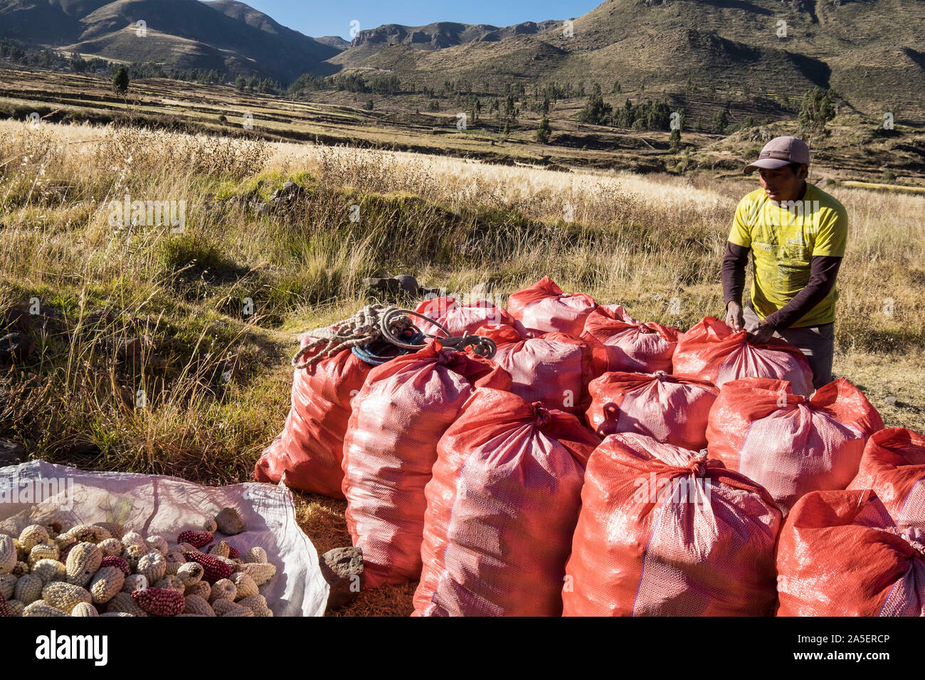 Digital farmer peru hi-res stock photography and images - Alamy