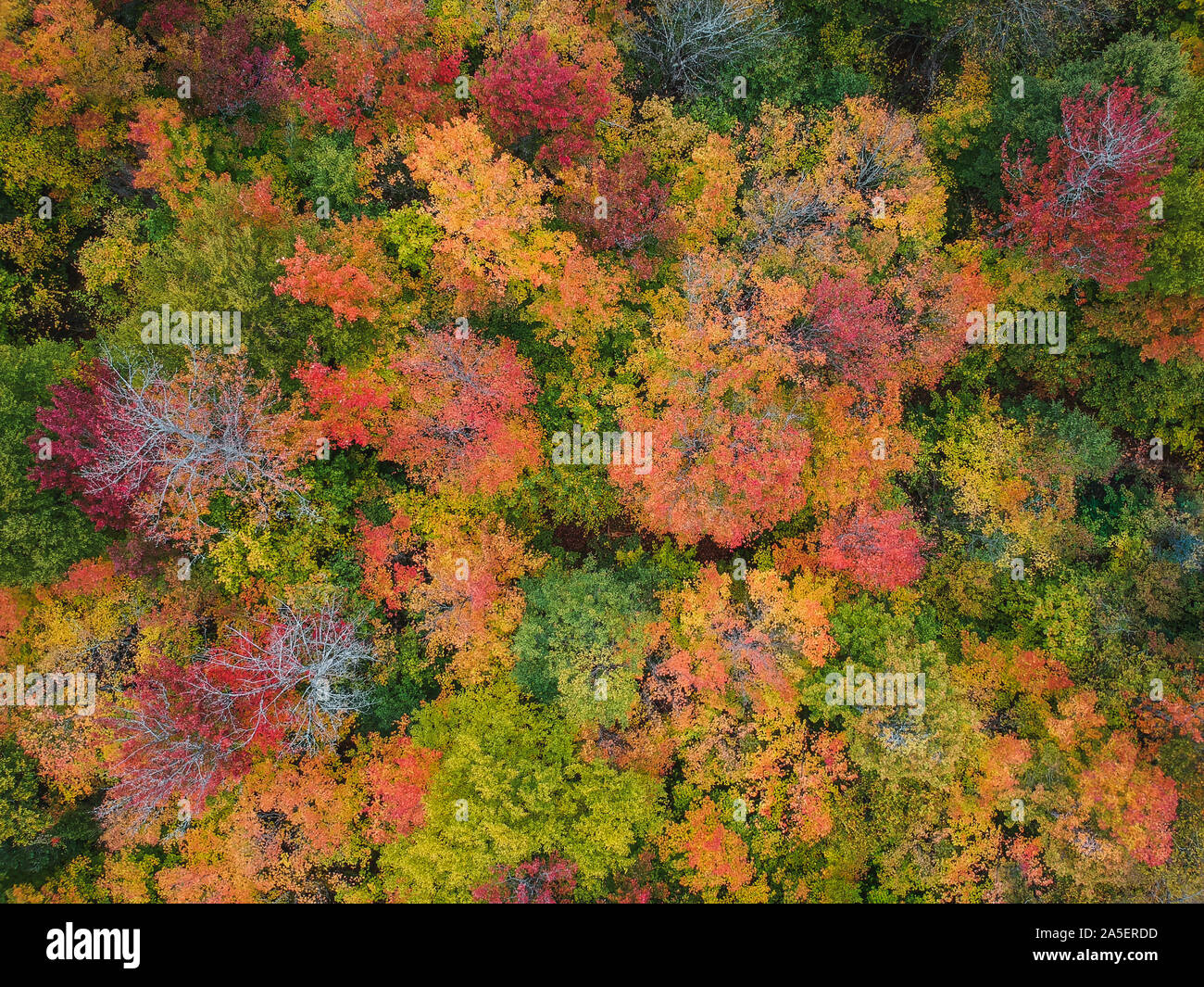 Fall in Quebec Stock Photo - Alamy