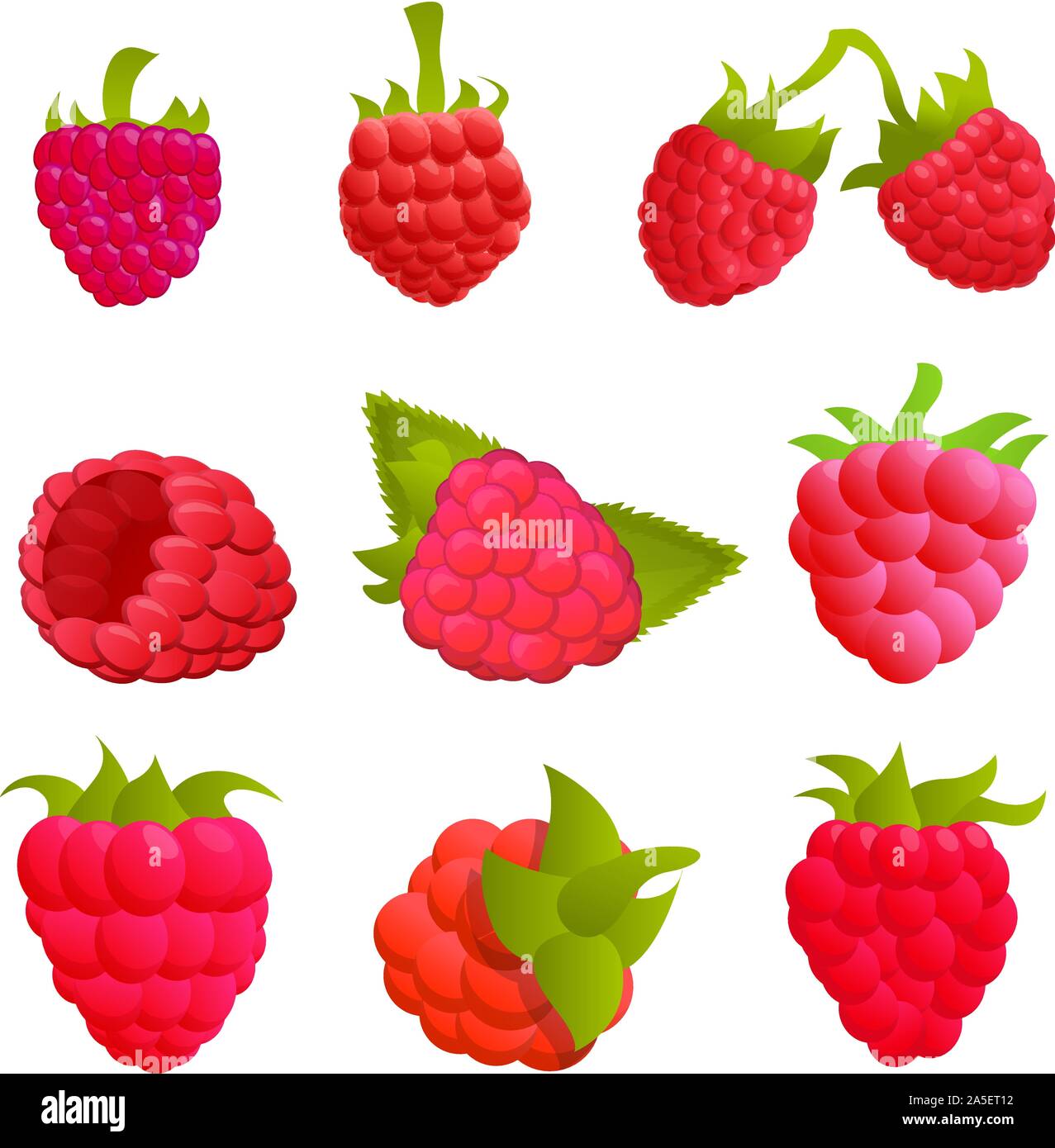Raspberry icons set. Cartoon set of raspberry vector icons for web ...