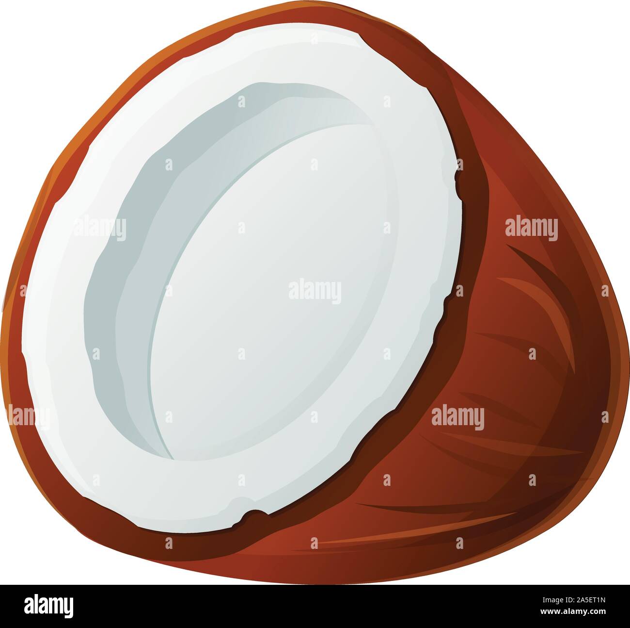 Cutted coconut icon. Cartoon of cutted coconut vector icon for web ...